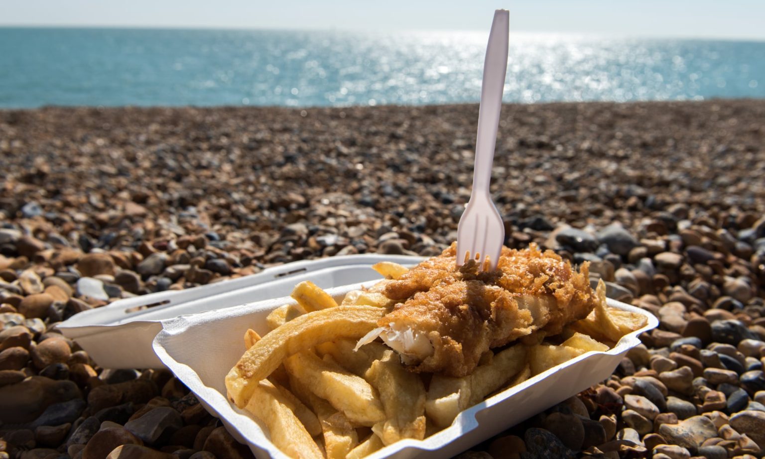 The 10 Best Alki Beach Restaurants to Eat (And Drink!) At - Seattle Travel