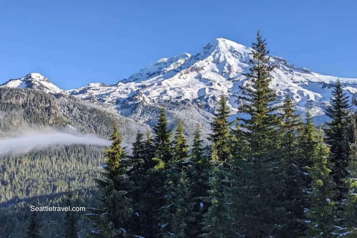 The 8 Best National (and State) Parks Near Seattle - Seattle Travel