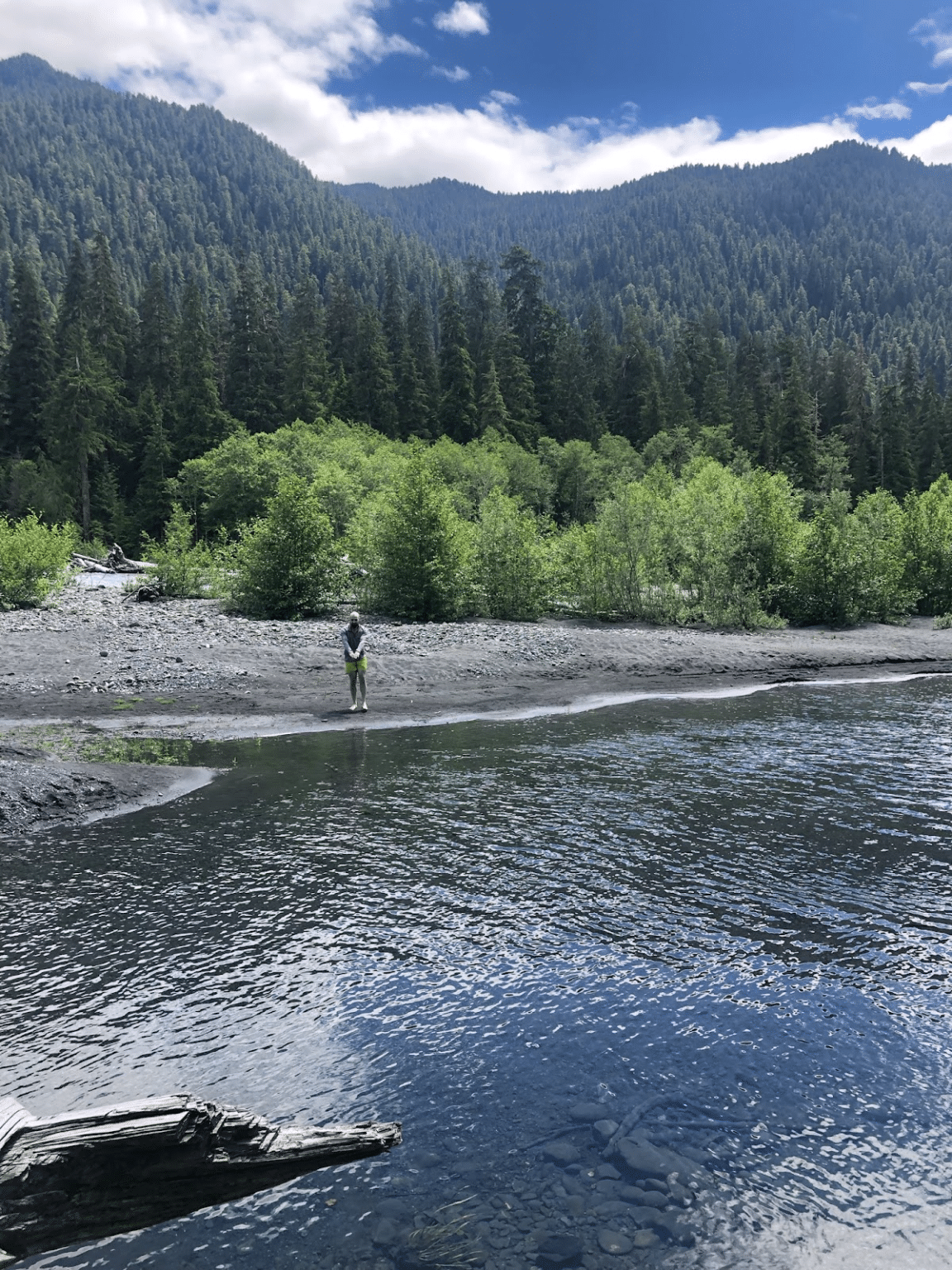 16 Things to Do in Forks from Beaches to Hiking and Camping - Seattle ...