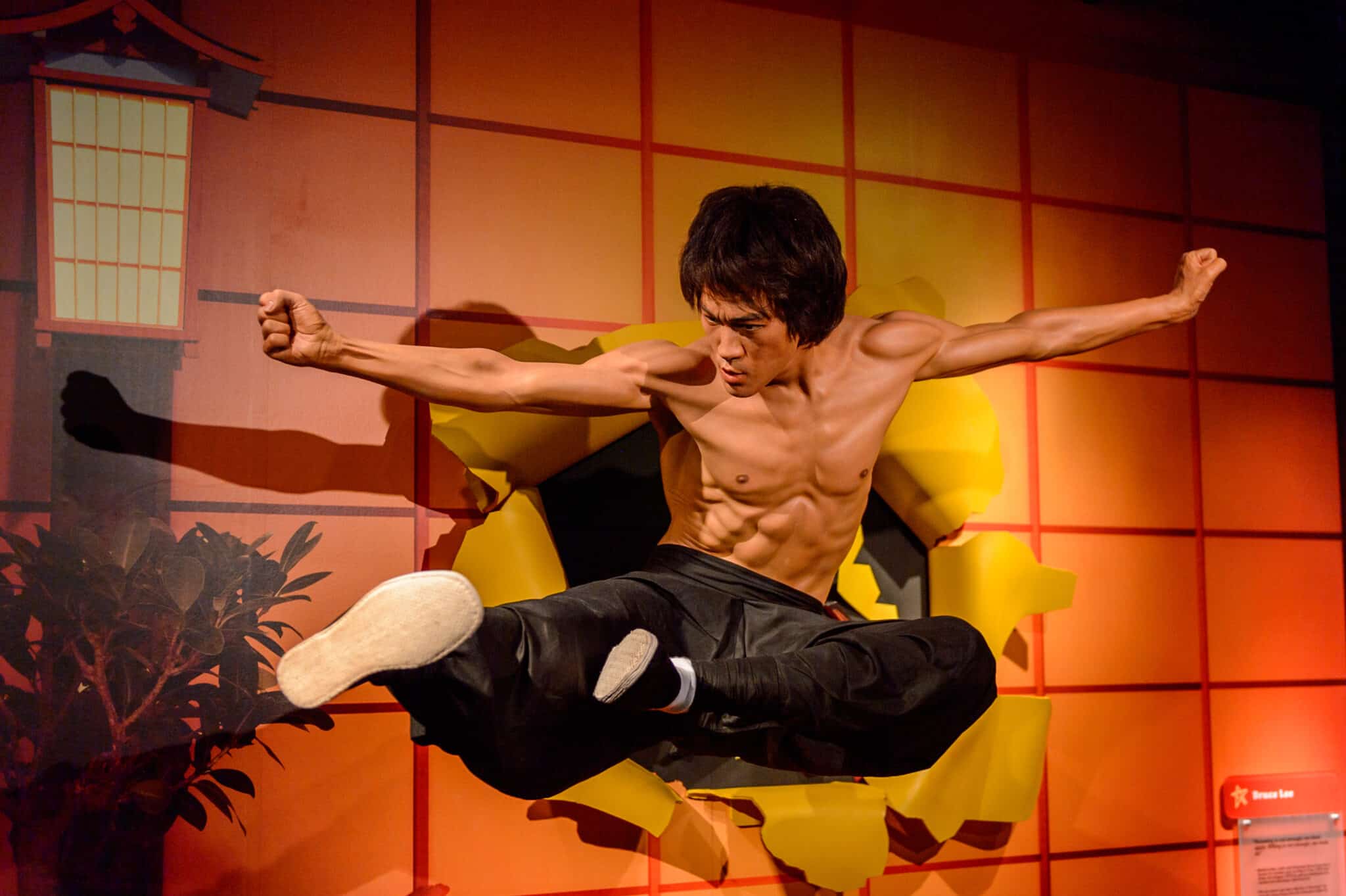 Where to Find Bruce Lee and Brandon Lee's Grave Sites in Seattle ...
