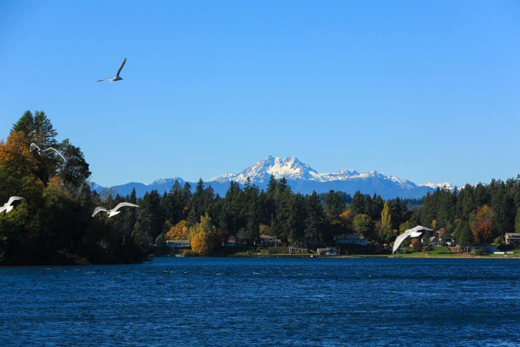 11 Breathtaking Mountain Peaks You Can See From Seattle - Seattle Travel