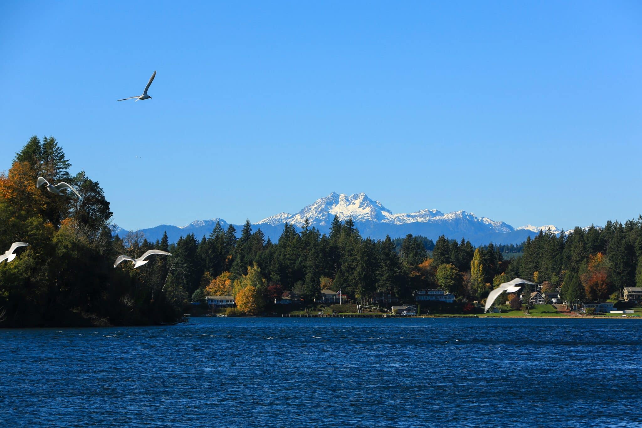 11 Breathtaking Mountain Peaks You Can See From Seattle - Seattle Travel