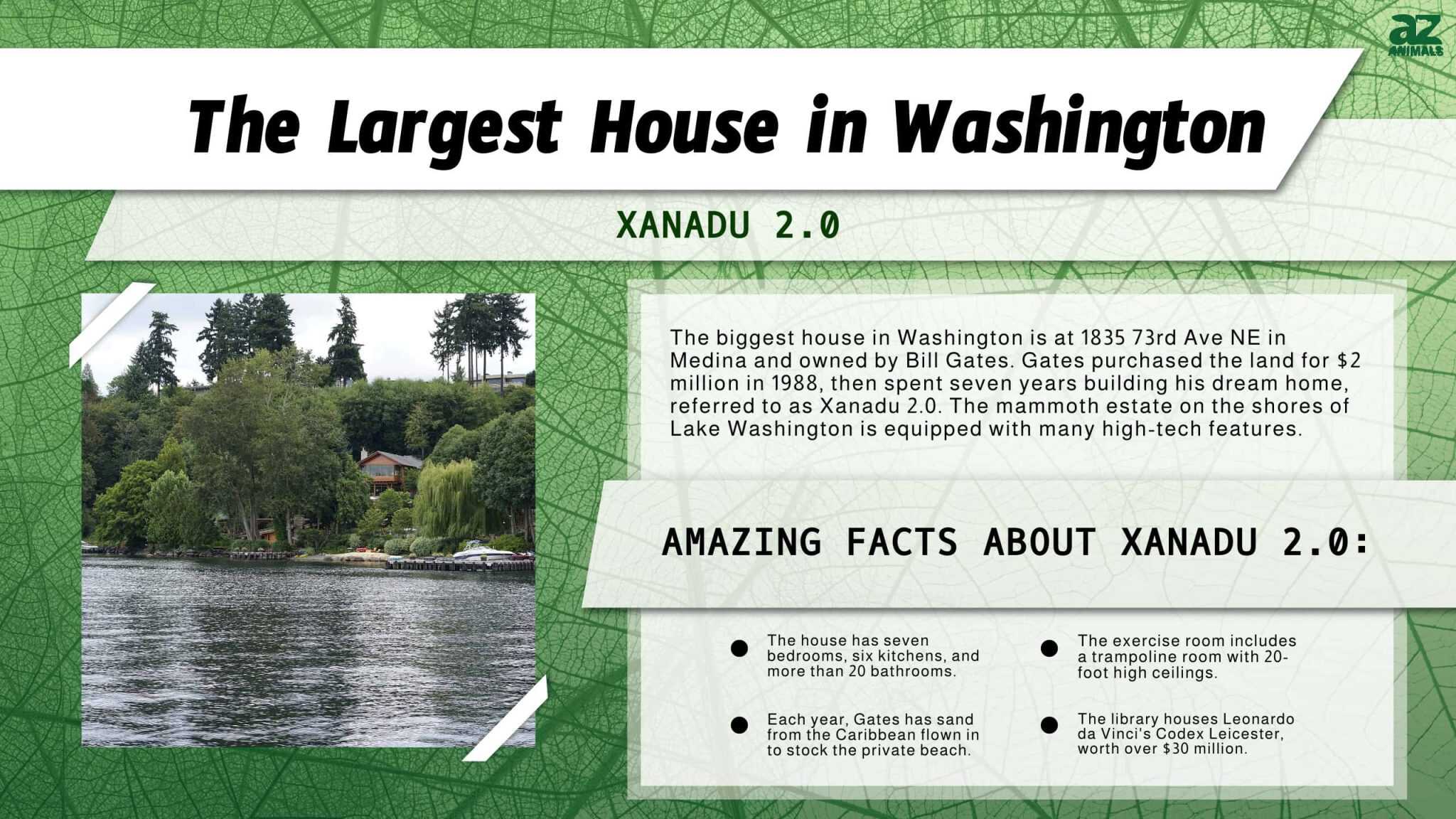 Inside Washington’s Largest Private Home and What 66,000 Square Feet ...